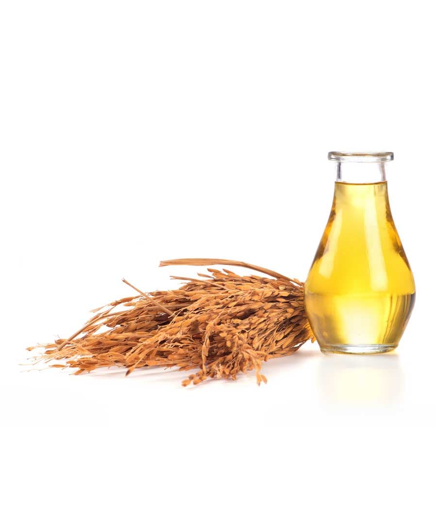 Redesign Life - Micro CRISPR