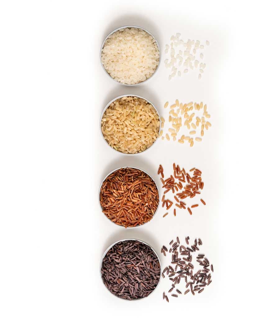 Redesign Life - Micro CRISPR