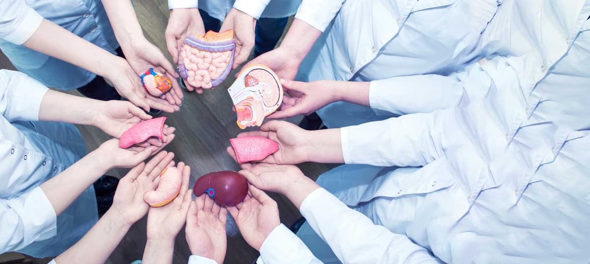 Redesign Life - Micro CRISPR